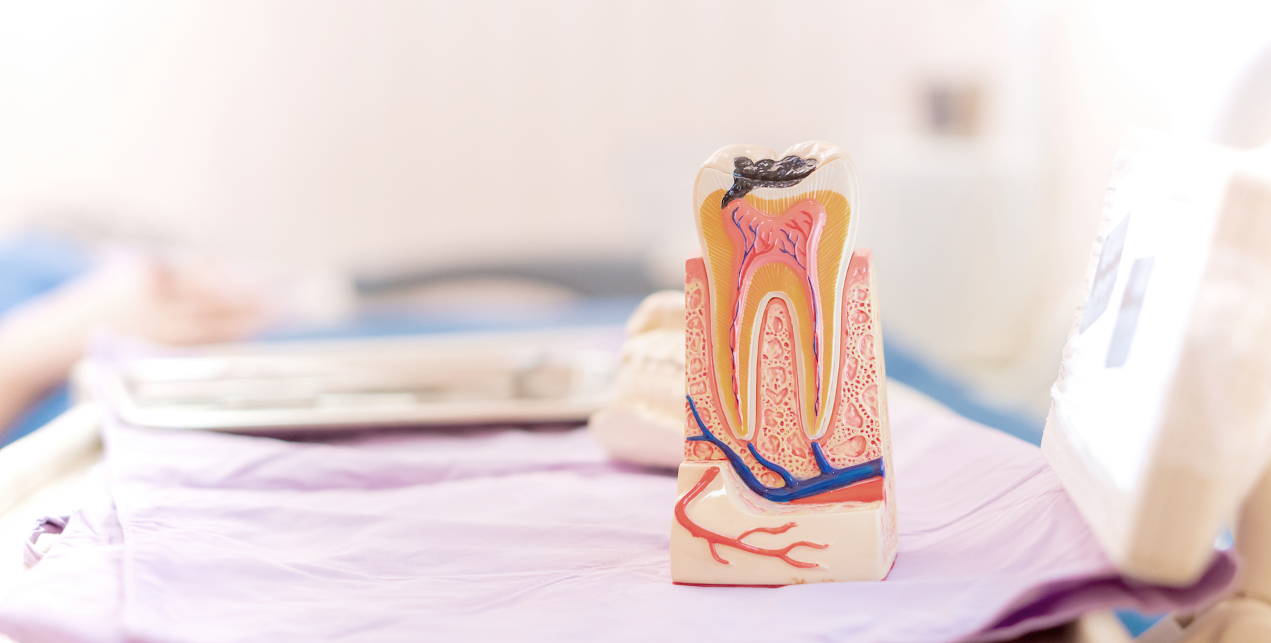 Principios básicos de la endodoncia - Clínica Dental Caral